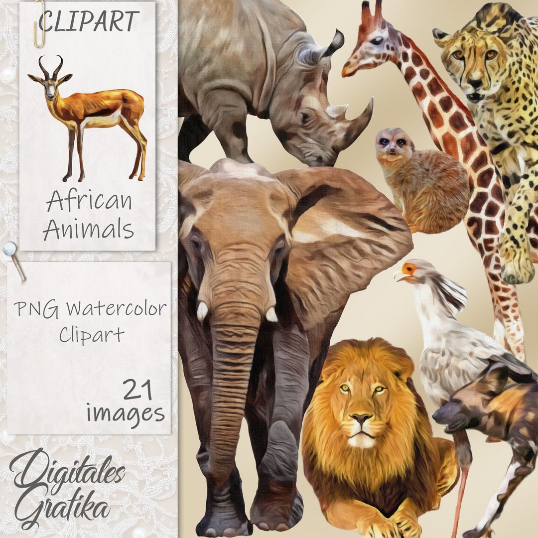 WATERCOLOR AFRICAN ANIMALS Clip Art, African Clip Art, Animal Clip Art ...