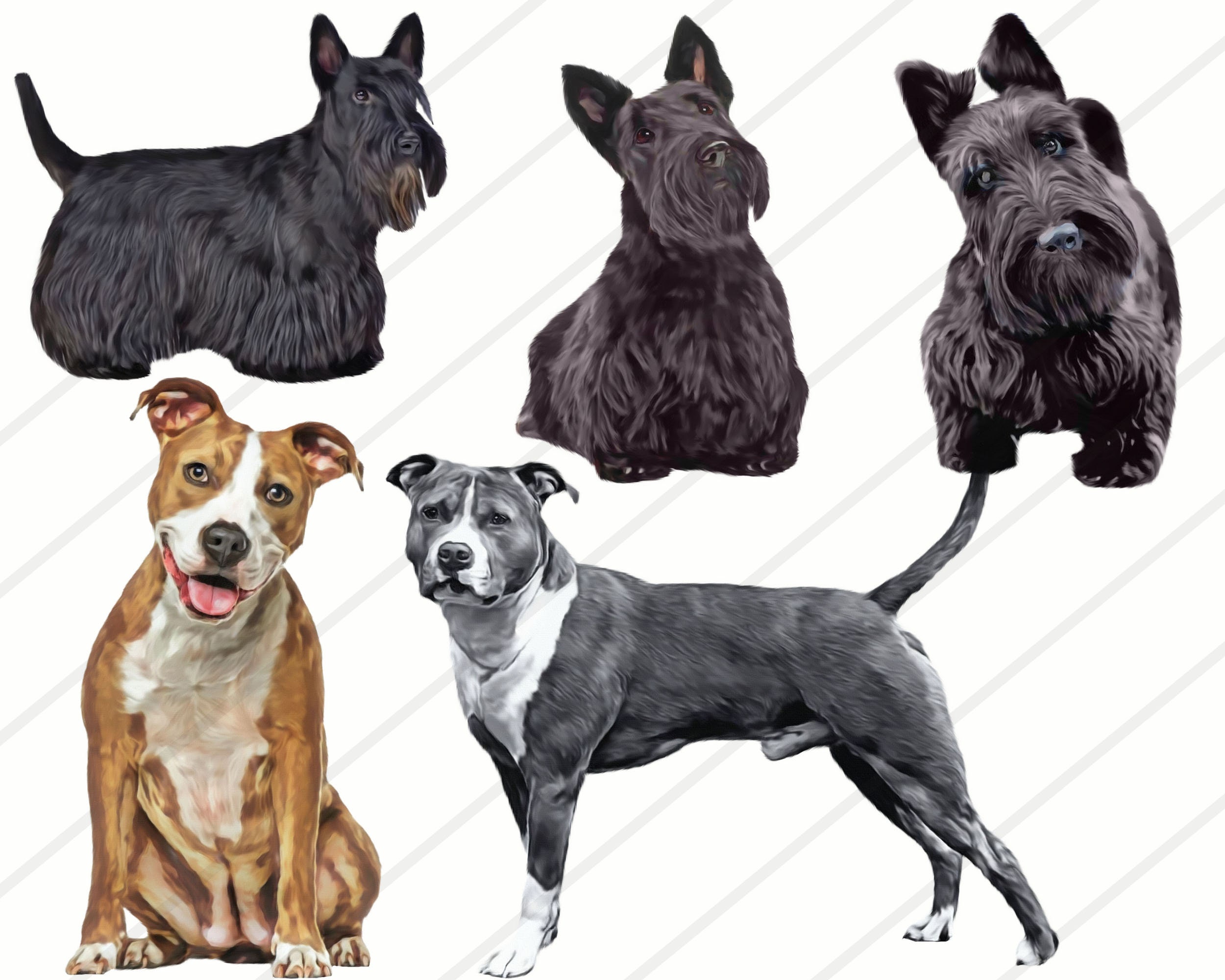 WATERCOLOR TERRIER CLIPART Dog Clip Art Animal Clip Art - Etsy