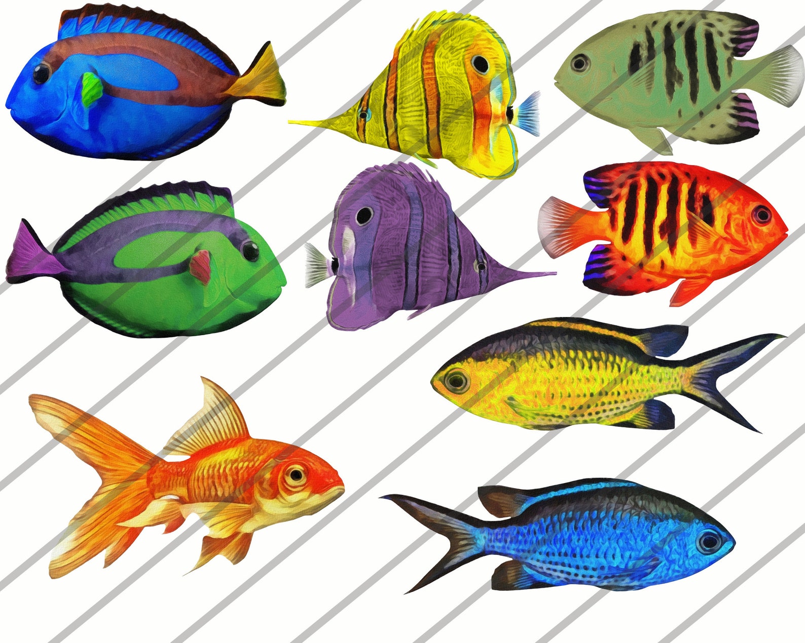 WATERCOLOR AQUARIUM FISH Clipart Fish Clipart Designer Clip | Etsy