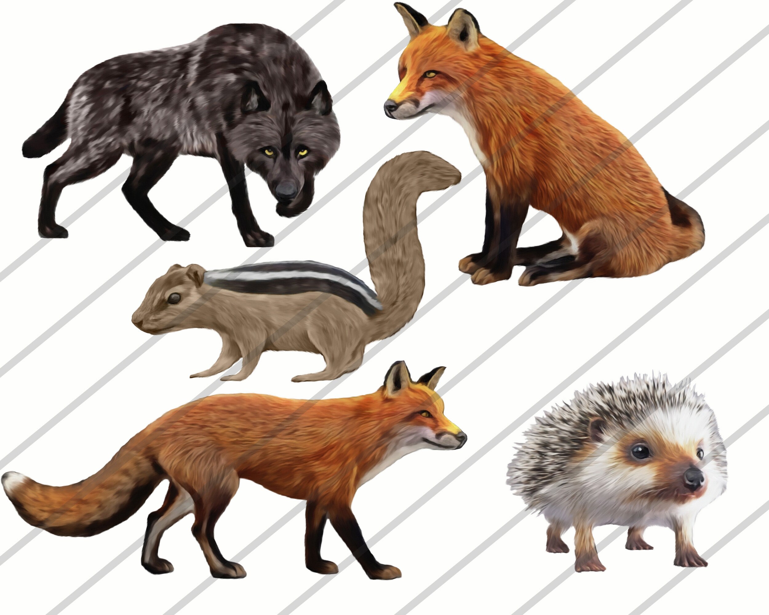 WOODLAND WATERCOLOR CLIPART Forest Animals Clip Art Animal | Etsy