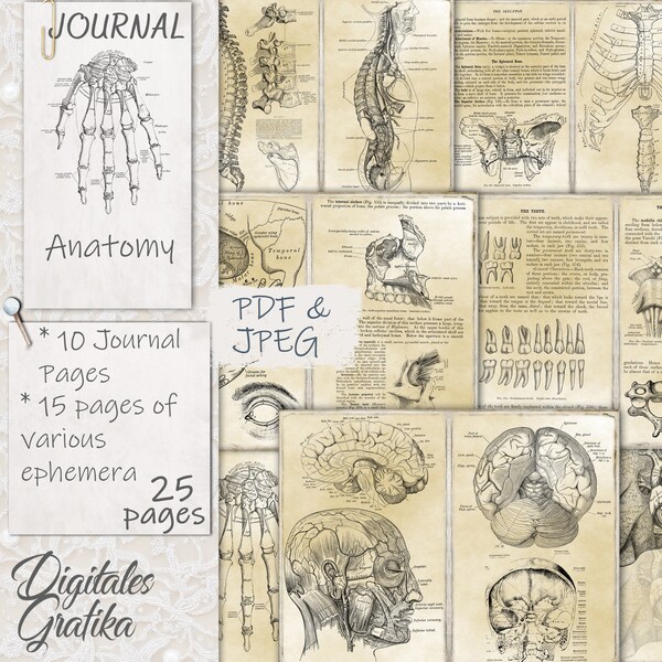 Human Anatomy Printable - Etsy