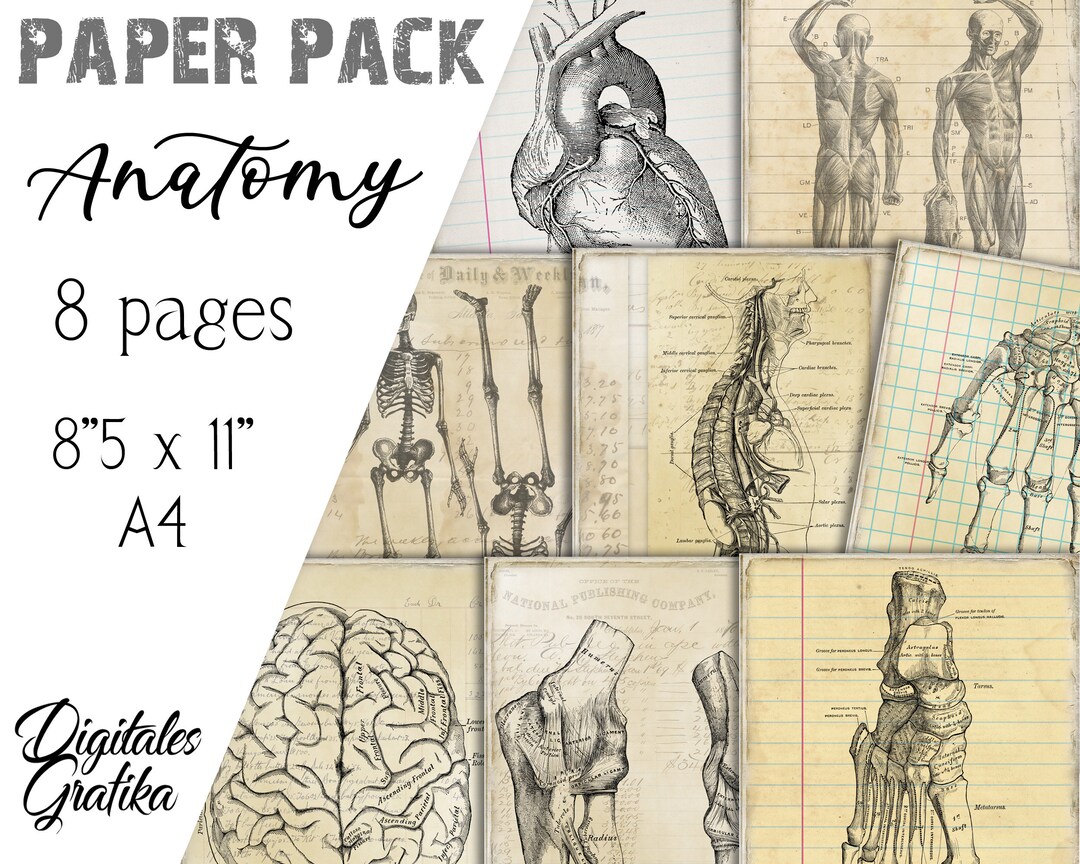 Anatomy Paper Pack: Vintage Human Body Scrapbook Paper (digital ...