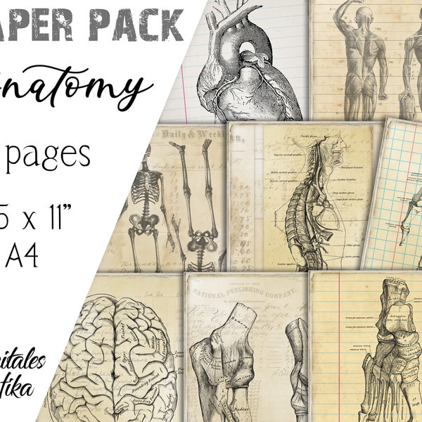 Human Body Scrapbook Paper - Etsy