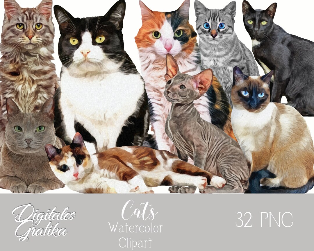 WATERCOLOR CATS CLIPART Kitten Clip Art Animal Clip Art - Etsy