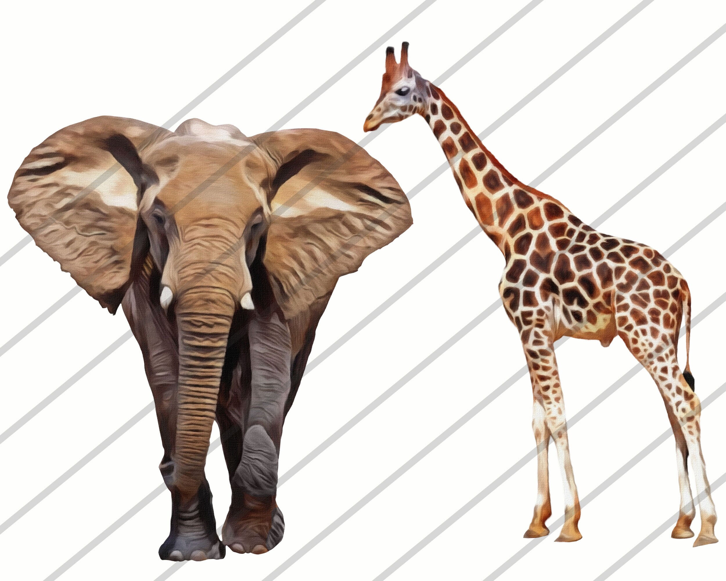 WATERCOLOR AFRICAN ANIMALS Clip Art African Clip Art Animal - Etsy