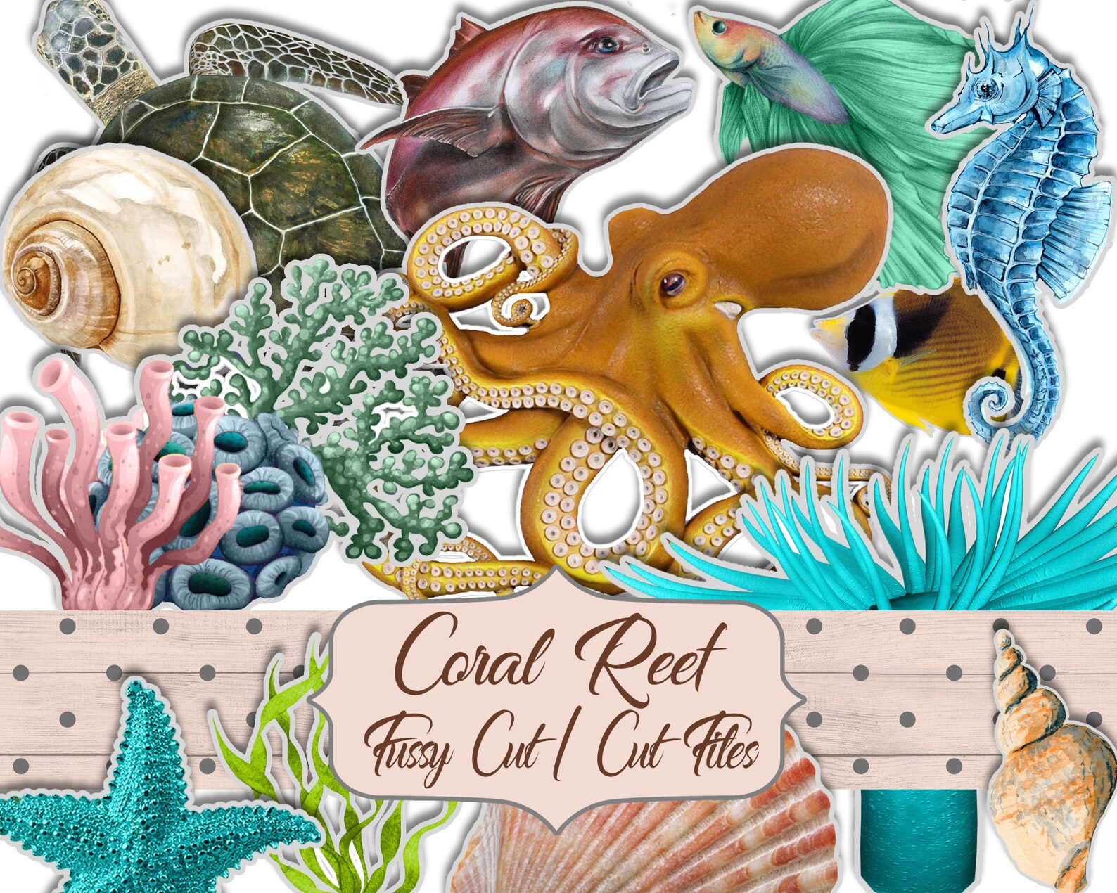 Printable Coral Reef Fussy Cut Images Digital Ocean | Etsy
