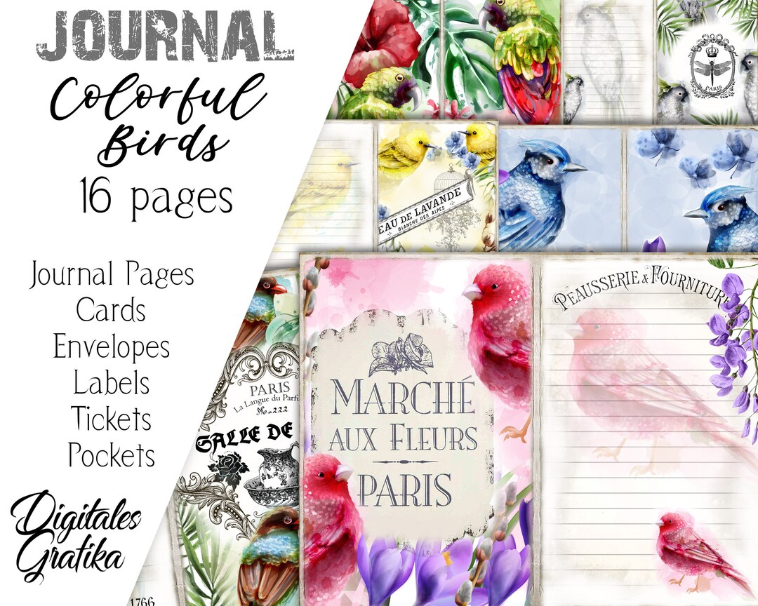 COLORFUL BIRDS JOURNAL Kit Pages Envelopes Watercolor - Etsy