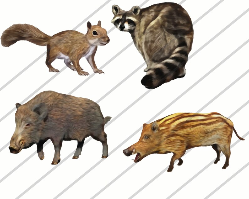 WOODLAND WATERCOLOR CLIPART Forest Animals Clip Art Animal | Etsy