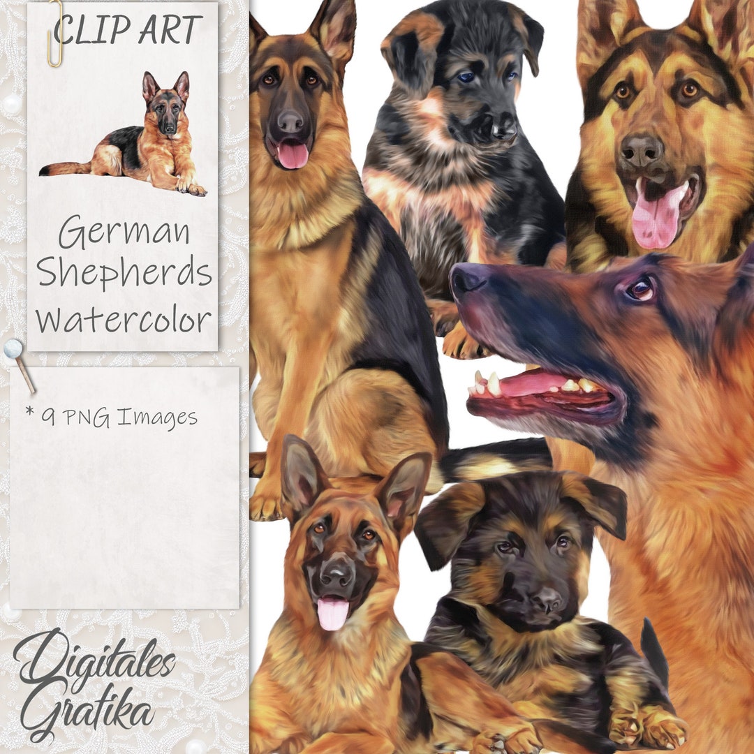 GERMAN SHEPHERD WATERCOLOR Clip Art , Dog Clip Art, Animal Clip Art ...