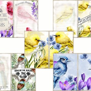 COLORFUL BIRDS JOURNAL Kit, Pages, Envelopes, Watercolor Birds, Paper ...