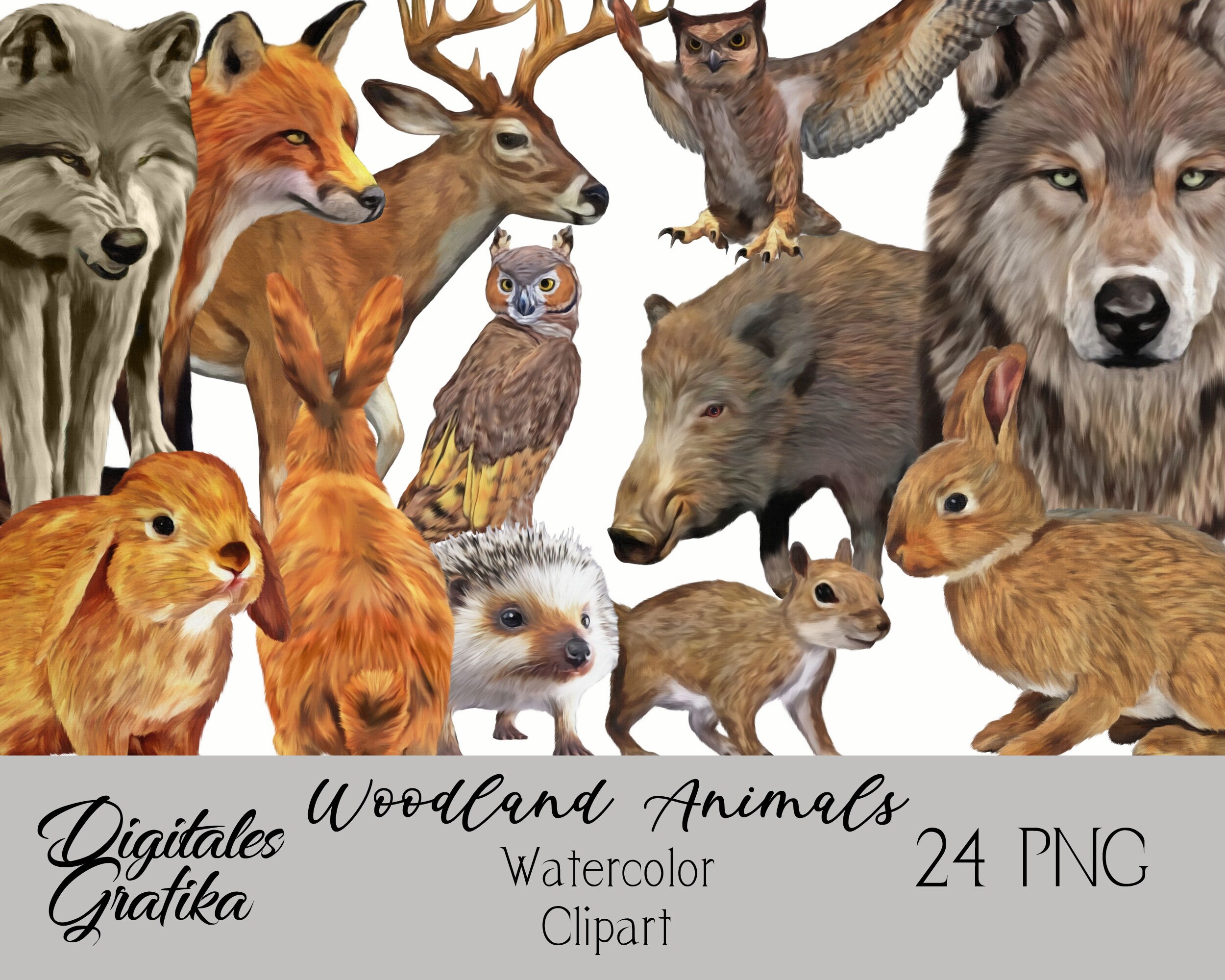 WOODLAND WATERCOLOR CLIPART Forest Animals Clip Art Animal - Etsy