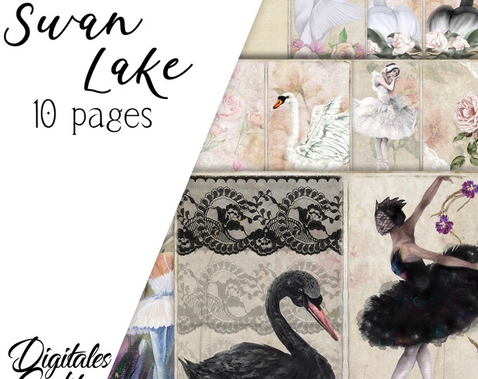 Swan Carousel Plays Swan Lake. Beautiful Scene of a Swan Taking off to ...