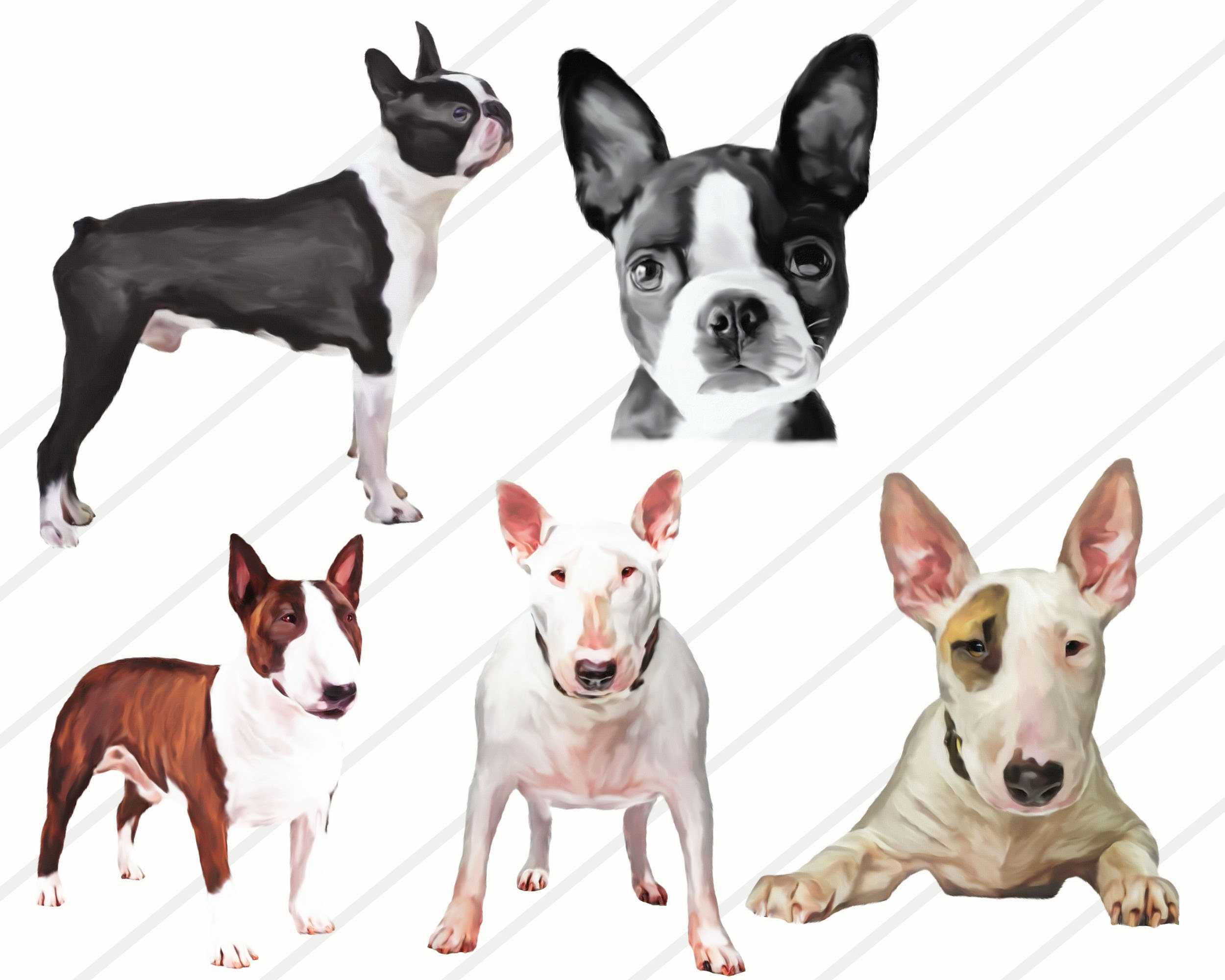 WATERCOLOR TERRIER CLIPART Dog Clip Art Animal Clip Art - Etsy