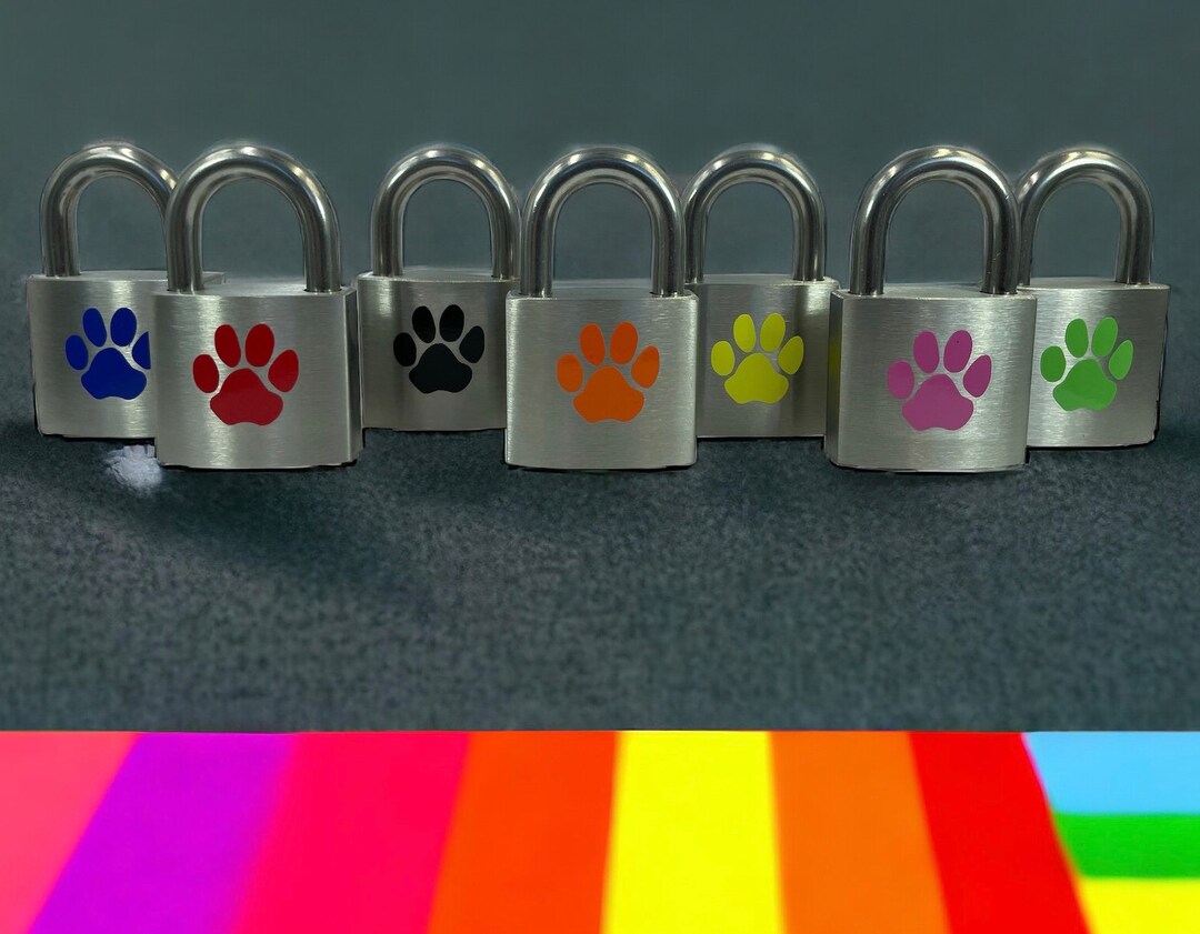 Human Puppy Play Stainless Steel Padlock Stainless Steel Padlock I Paw ...