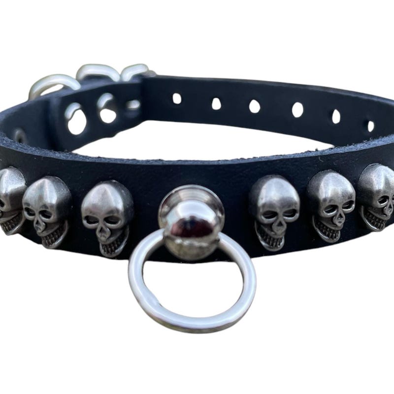 Skull Dog Collar - Etsy