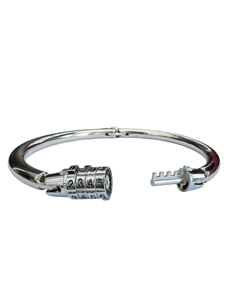 BDSM Silver Stainless Steel Collar, Eternity Collar, Combination ...