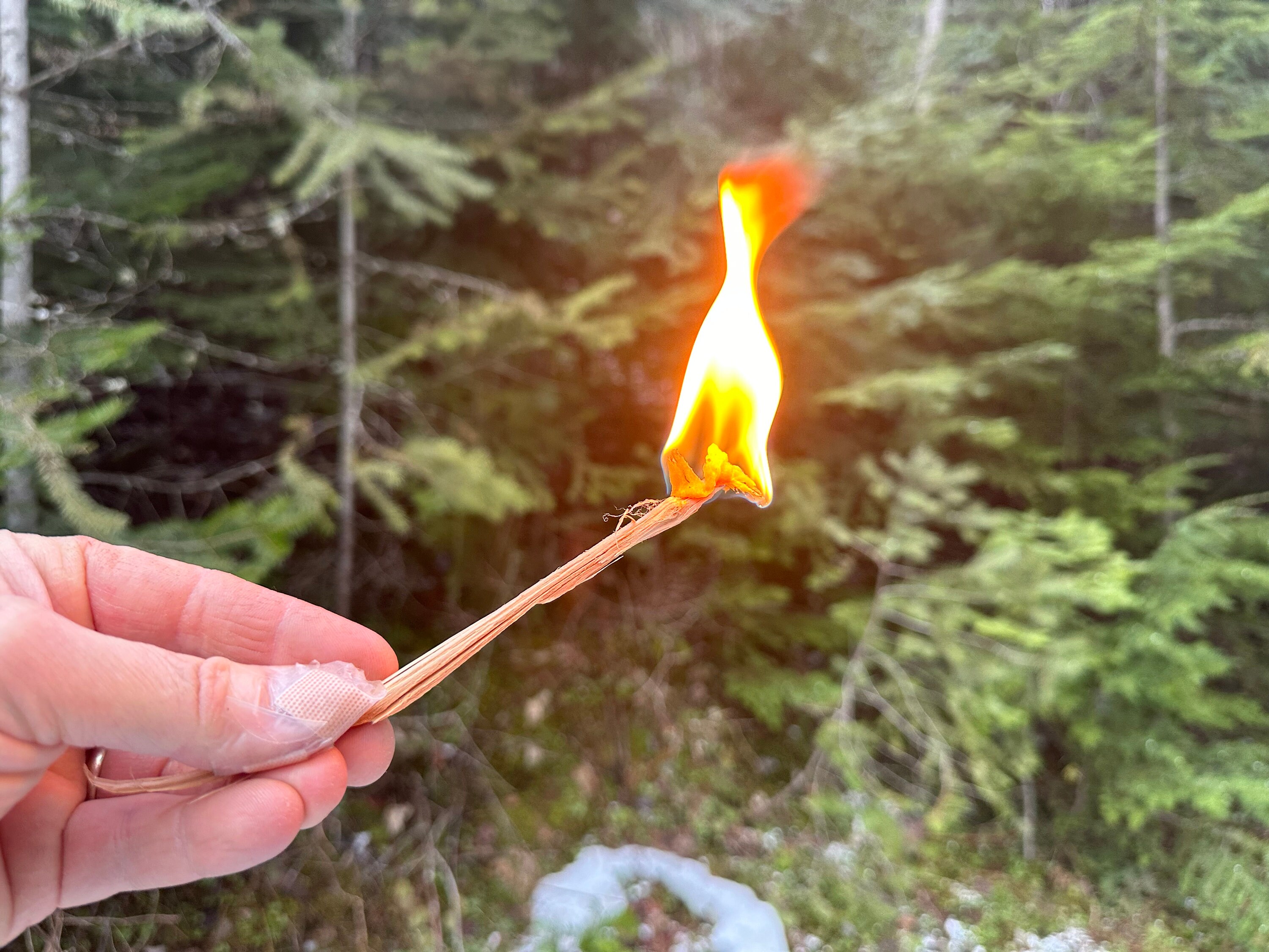 Sawtooth Tinder Fire Starter Handmade in Idaho USA By, the Idaho ...