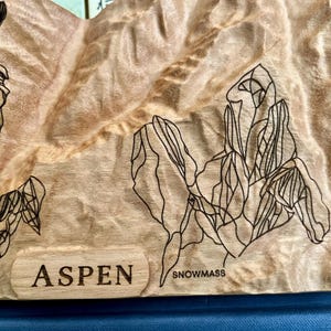 Aspen Ski Resorts 3D Wooden Map - Handcrafted Topography of Aspen ...
