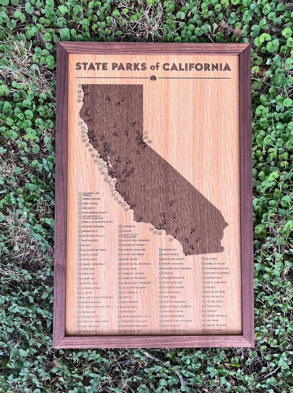 California State Parks Push Pin Map Wooden Travel Tracker Map | Etsy