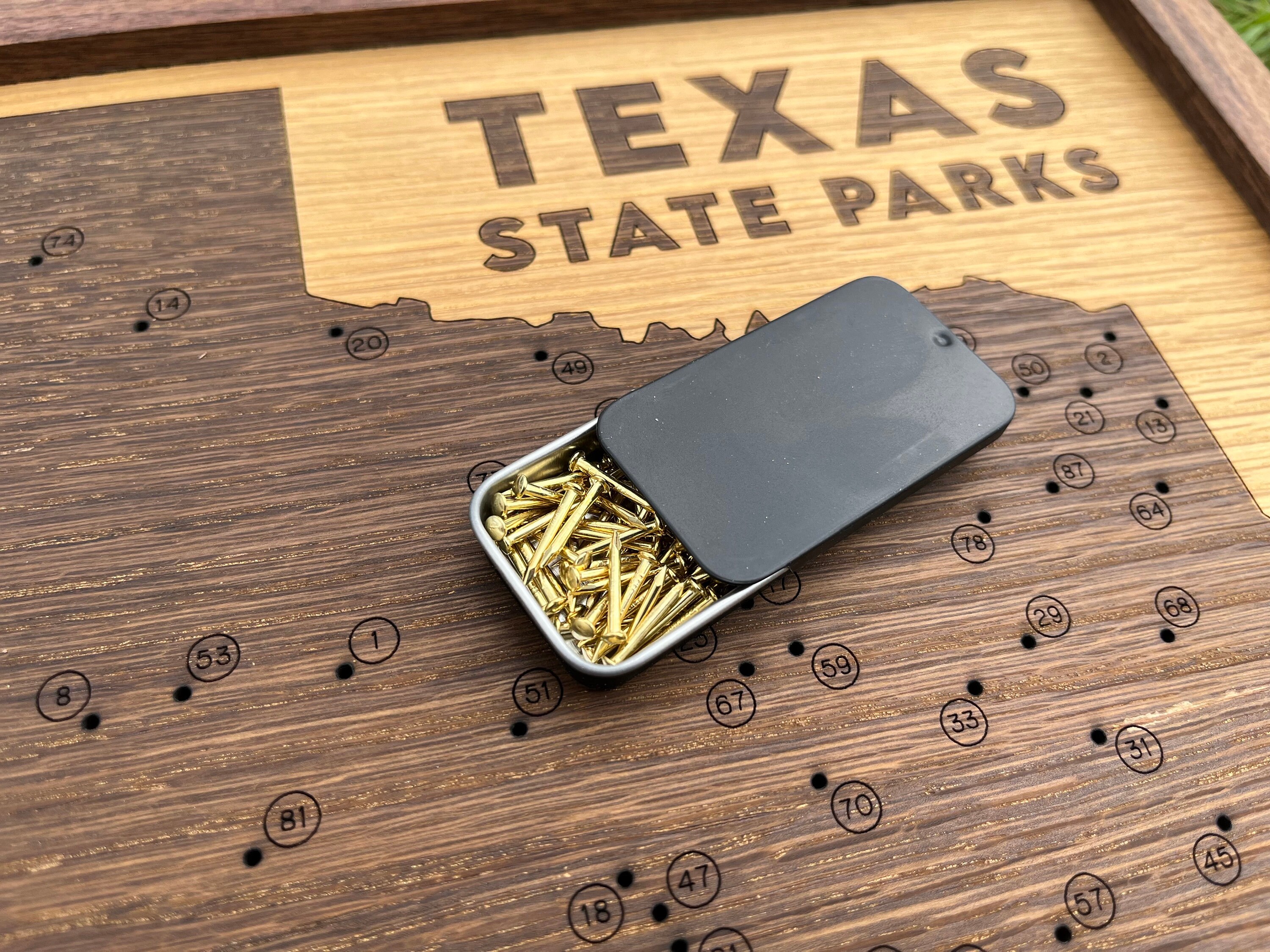 Texas State Parks Push Pin Map, 16 X 16 Wooden Travel Tracker Map of ...