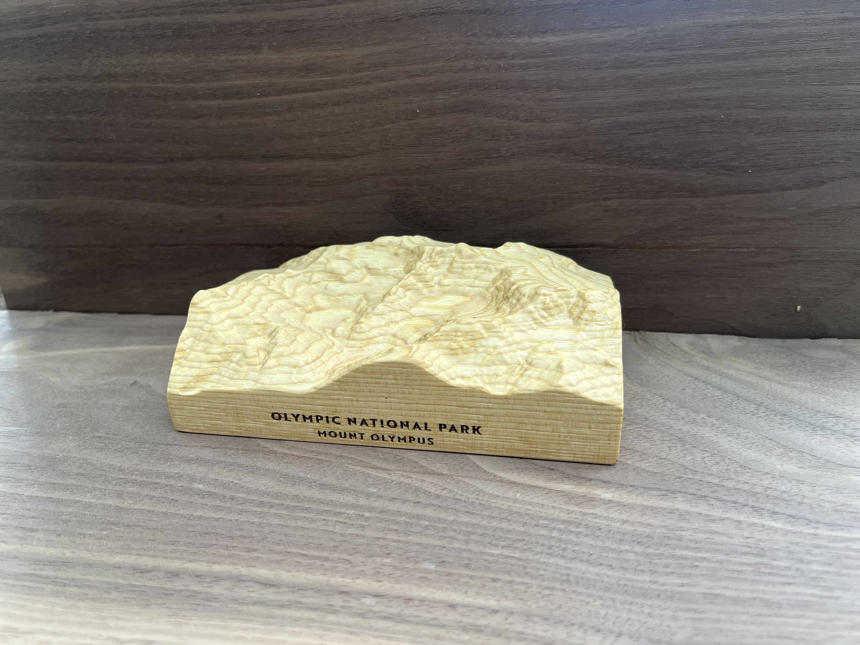 Olympic National Park Model, Topographical Carve of Mount Olympus Made ...