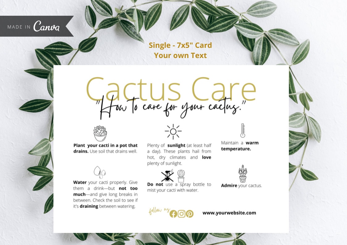 Cacti Care , DIY Template, Cactus Care Card, Indoor Care Guide, Care ...