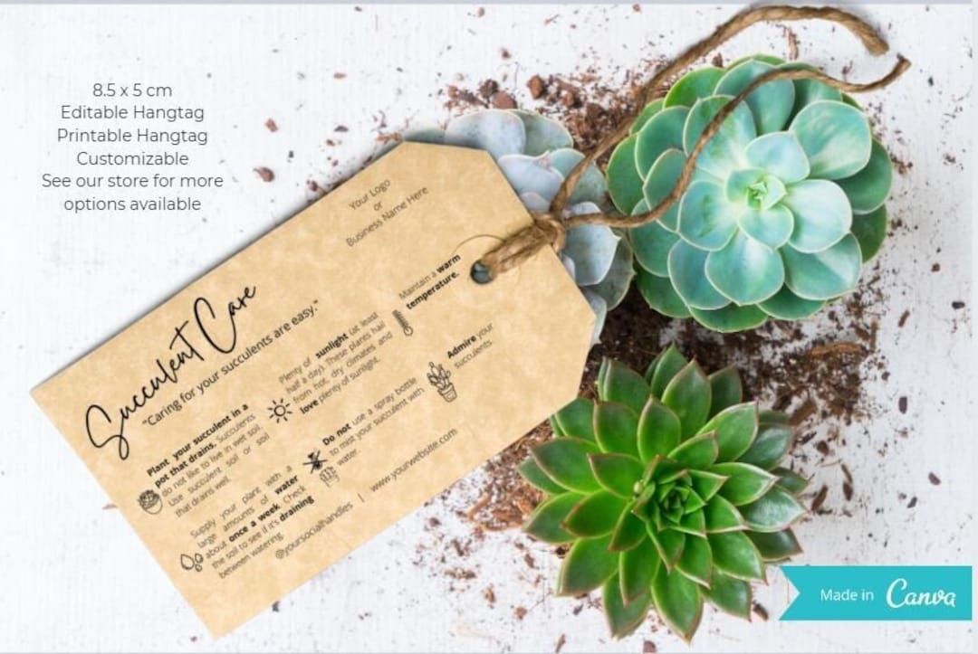 Cactus/succulent Care Hangtag, DIY Cactus Indoor Template, Editable ...