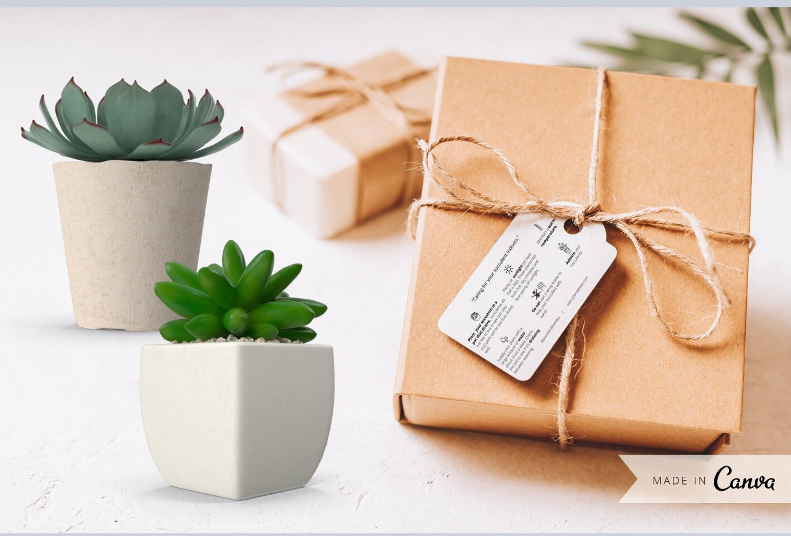 Editable Succulent Care Hangtag, DIY Succulent Plant Care Template ...