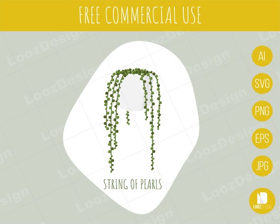 String Of Pearls Vector