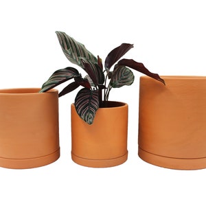 Terracotta Pots With Saucer Sets 4 Inch 5 in 6 Inch for Indoor Outdoor ...