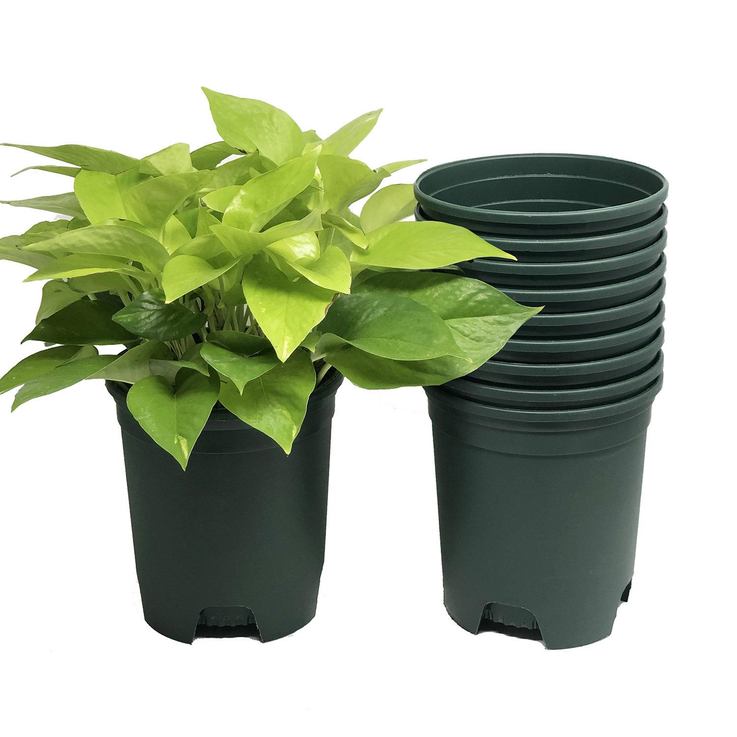 10-pack 1 Gallon Nursery Pot Liners Plastic Planters for - Etsy