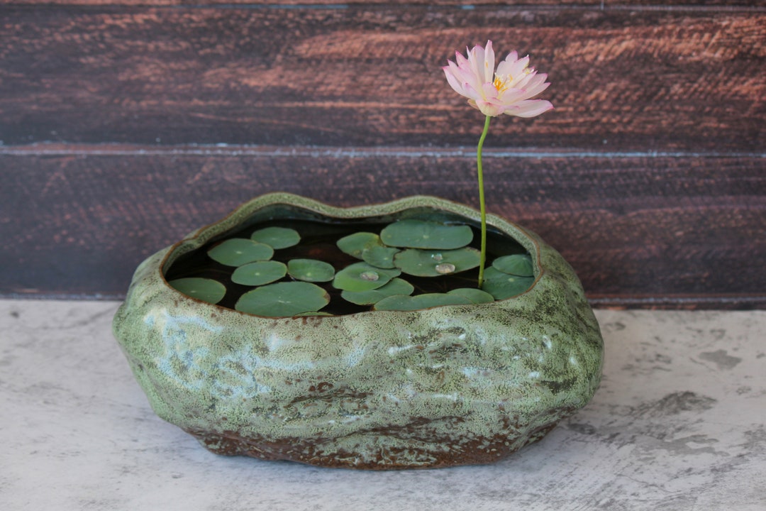 Premium Succulent Planter Pot Bonsai Lotus Pot, Ceramic With Decorative ...