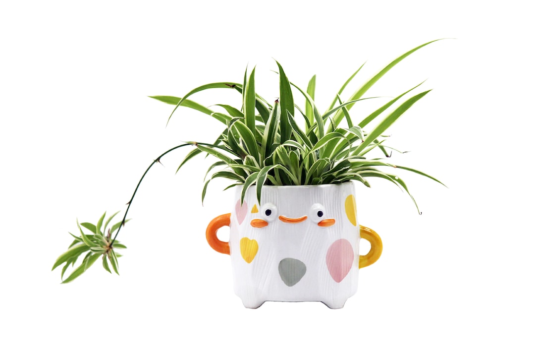 Smiley Face Planter With Arms Succulent Planter, 3 Inch Ceramic Pot ...