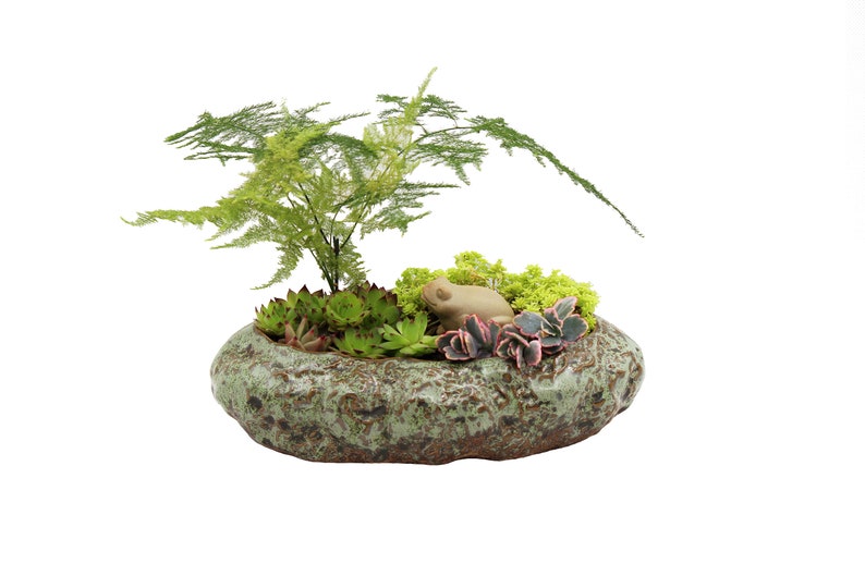 Premium Large Shallow Succulent Planter Pot With Drainage | Etsy