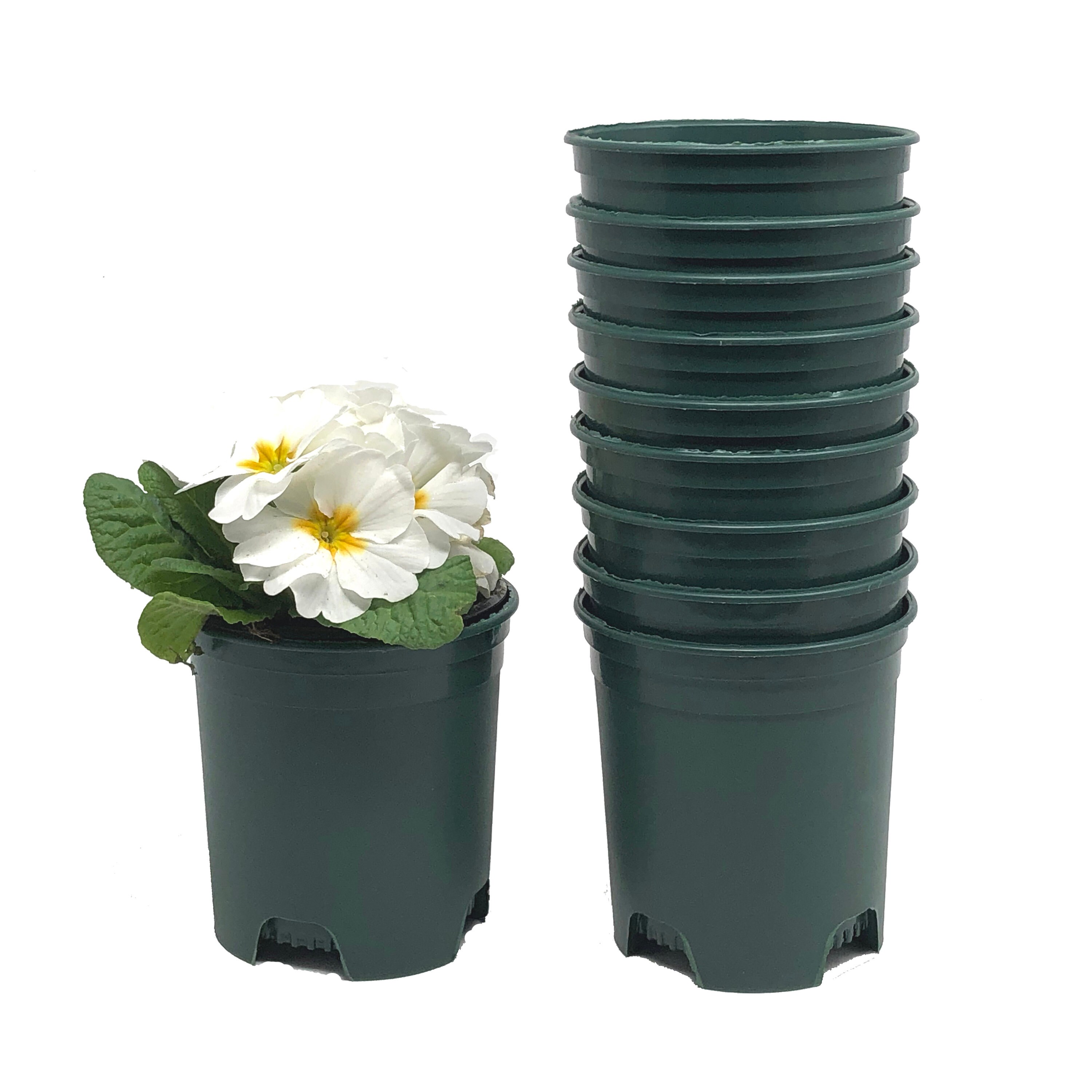 4 Inch Nursery Pot 10-pack Plastic Planters for Outdoor Indoor Plants ...