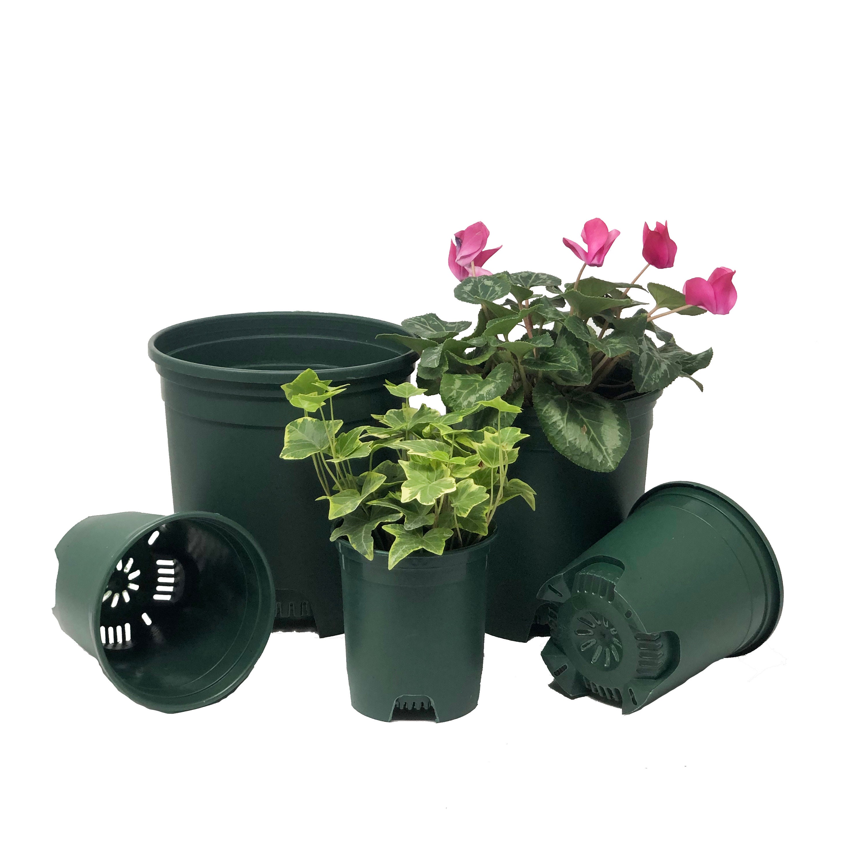 10-pack Variety Sizes Plastic Nursery Planter Pots 4 in to 7.5 Inch ...