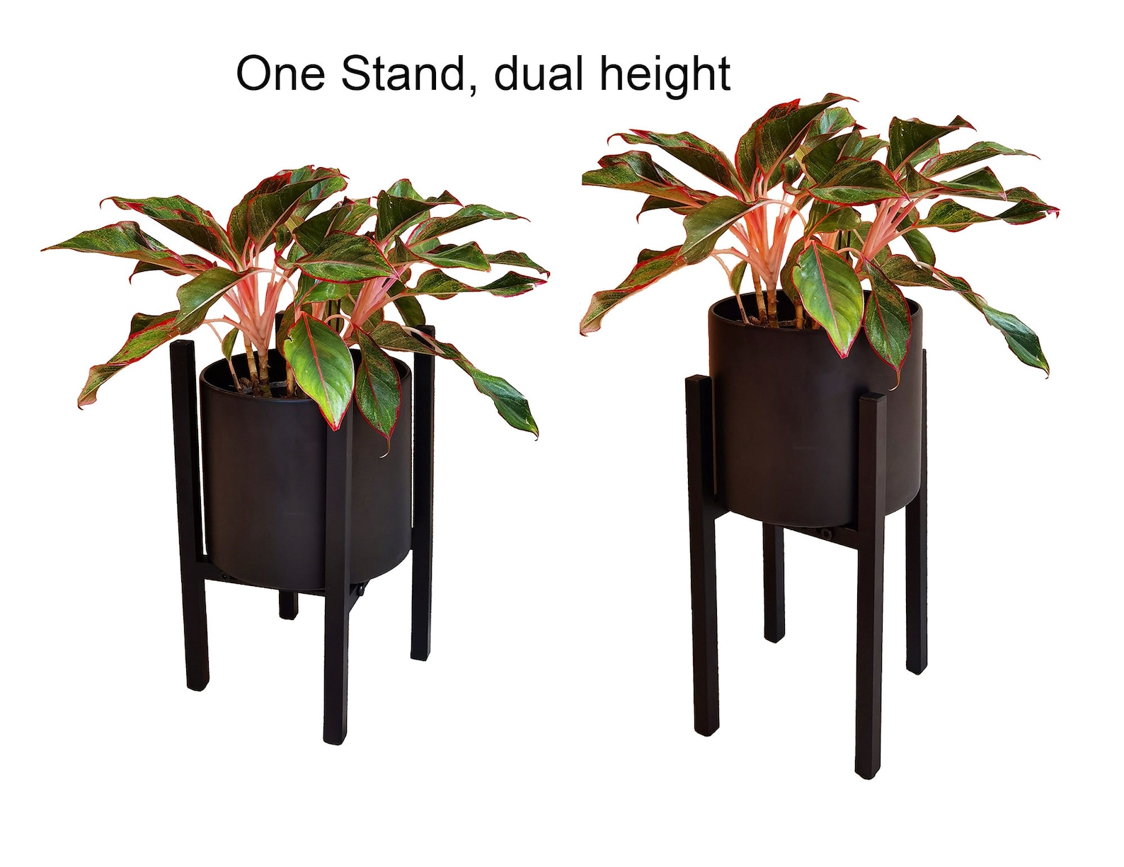 Adjustable Black Metal Plant Stand Dual Height Options Durable - Etsy