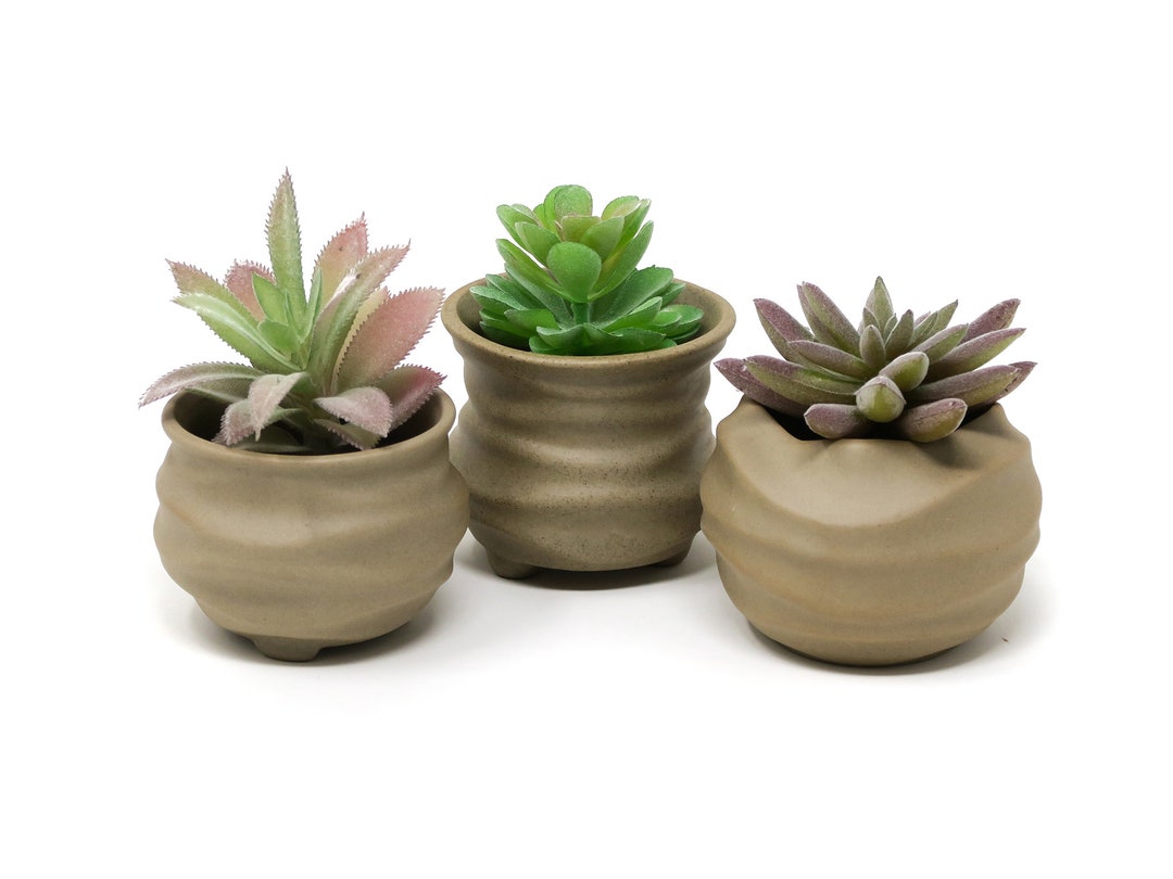 Succulent Cacti Planter Pot 3pc Set Natural Clay Organic Shape - Etsy