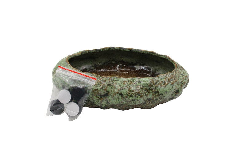 Premium Large Shallow Succulent Planter Pot With Drainage | Etsy