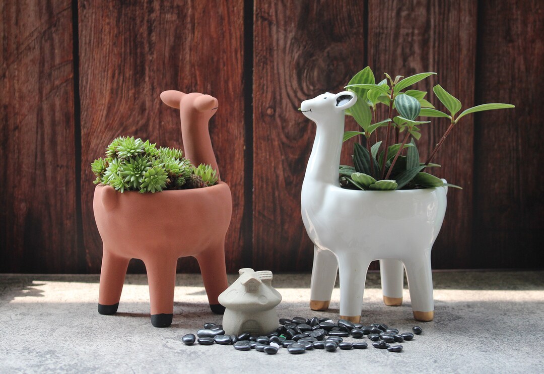 Ceramic Smiling Alpaca Succulent Planter Pot in 3.5 Inch With Drainage ...