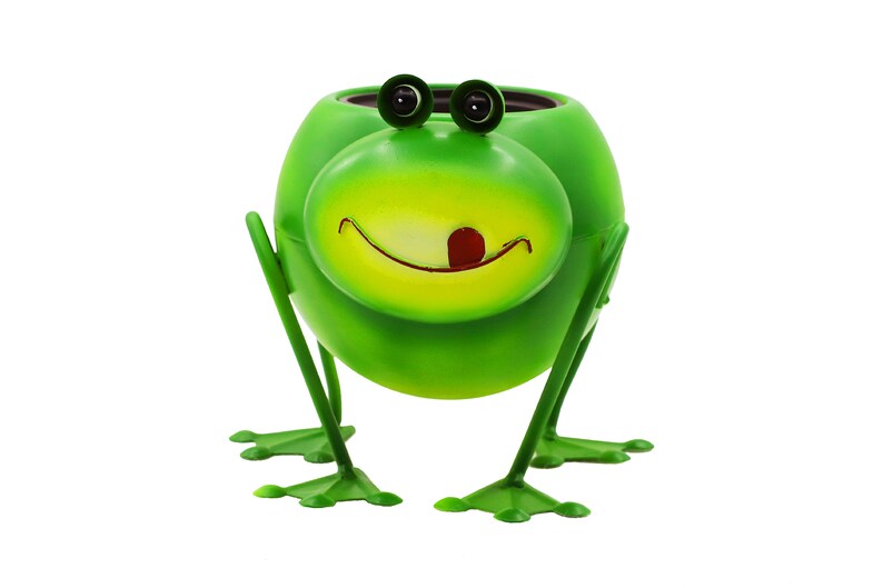 Metal Planter Green Frog With Pot Liner Succulent Pot - Etsy