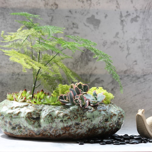 Premium Shallow Succulent Planter Pot Ceramic With Decorative - Etsy