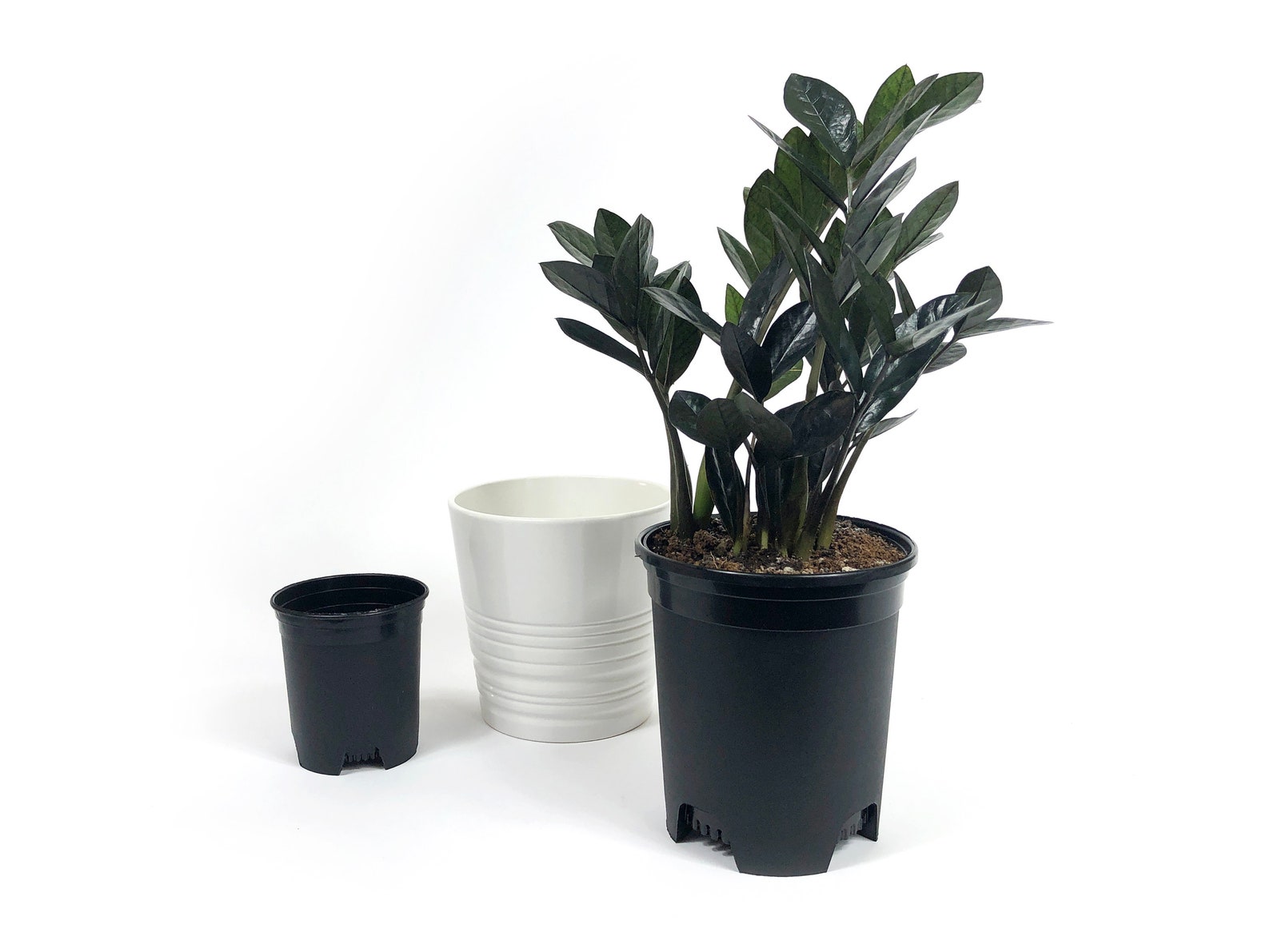 10-pack Variety Sizes Plastic Nursery Planter Pots 4 in to 7.5 Inch ...