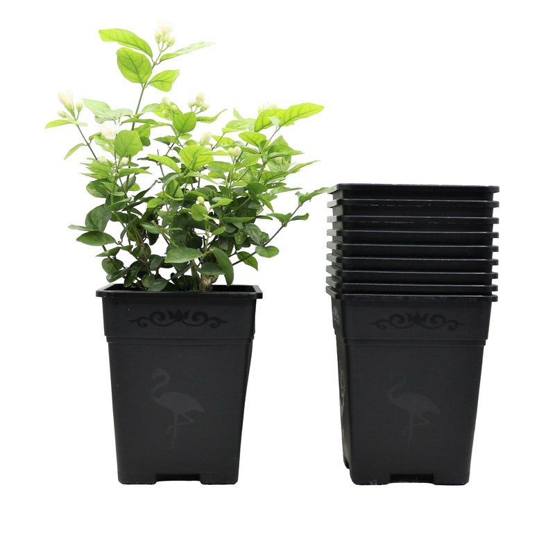 Square Planter Boxes - Etsy