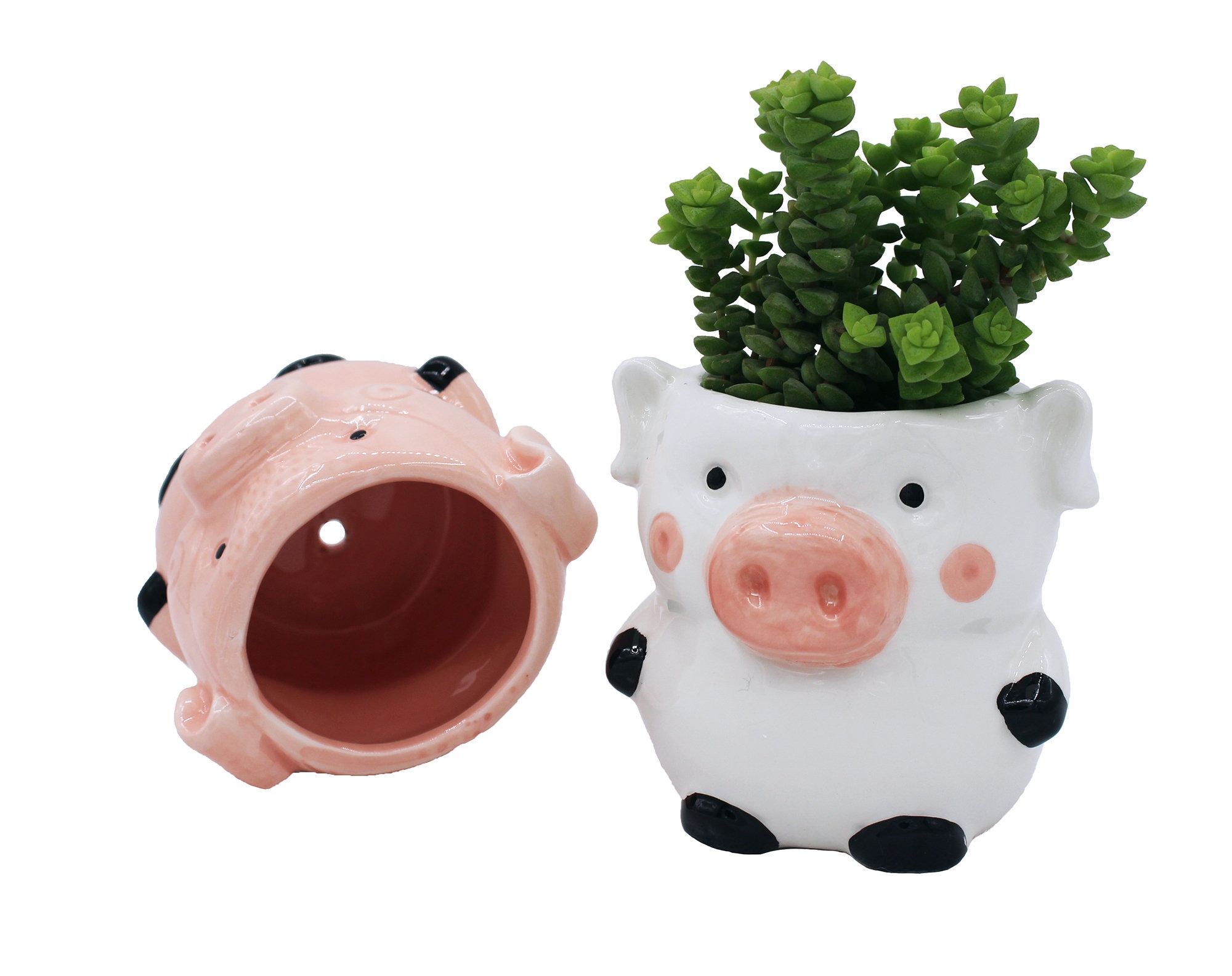 Cute Pig Planter Kitchen Pig Decor 2 Pack Ceramic Succulent - Etsy