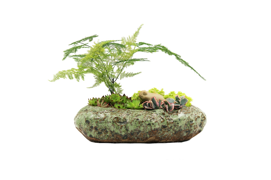 Premium Large Shallow Succulent Planter Pot Ceramic With - Etsy