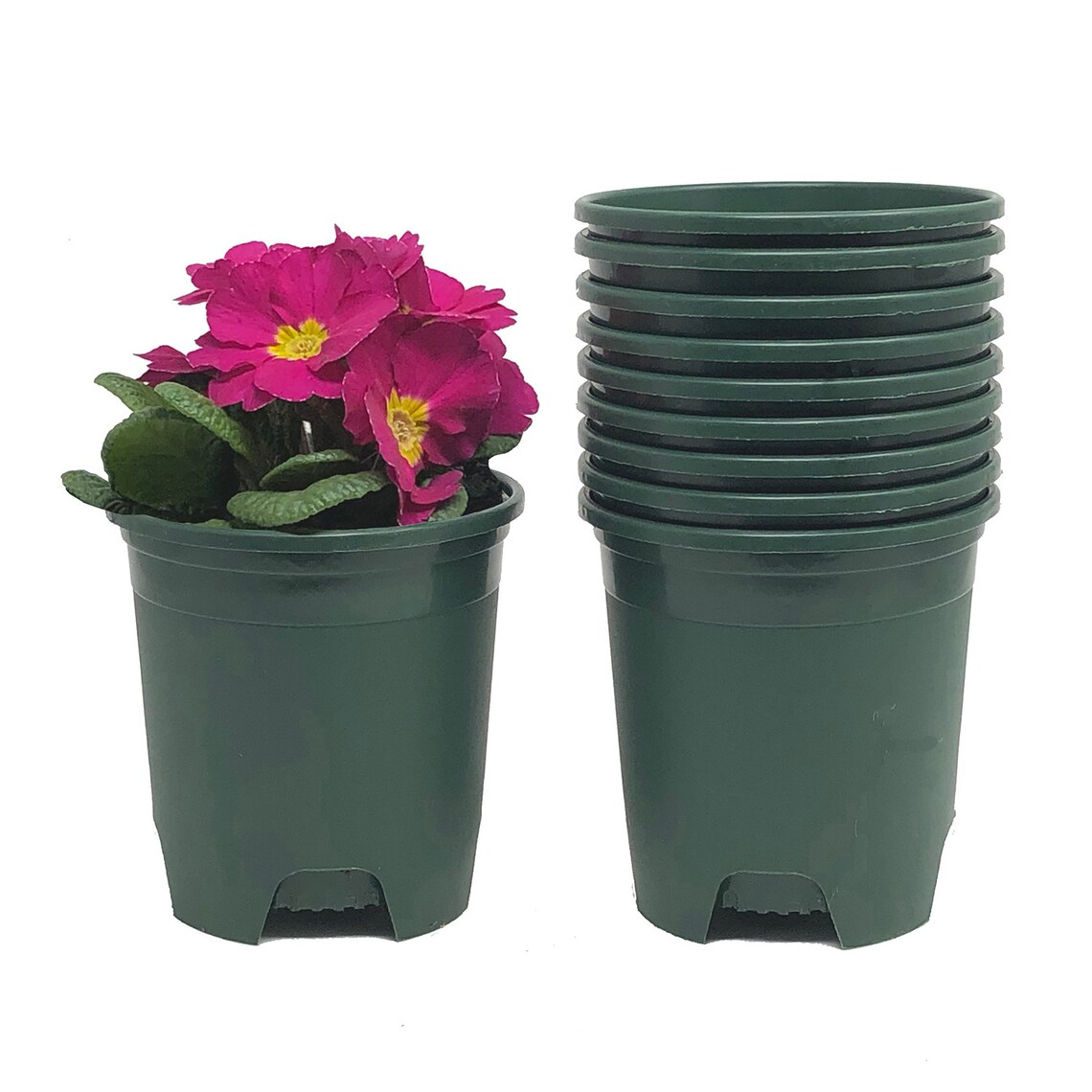 4.5 Inch Nursery Pot 10-pack 0.35 Gallon Plastic Planters for | Etsy