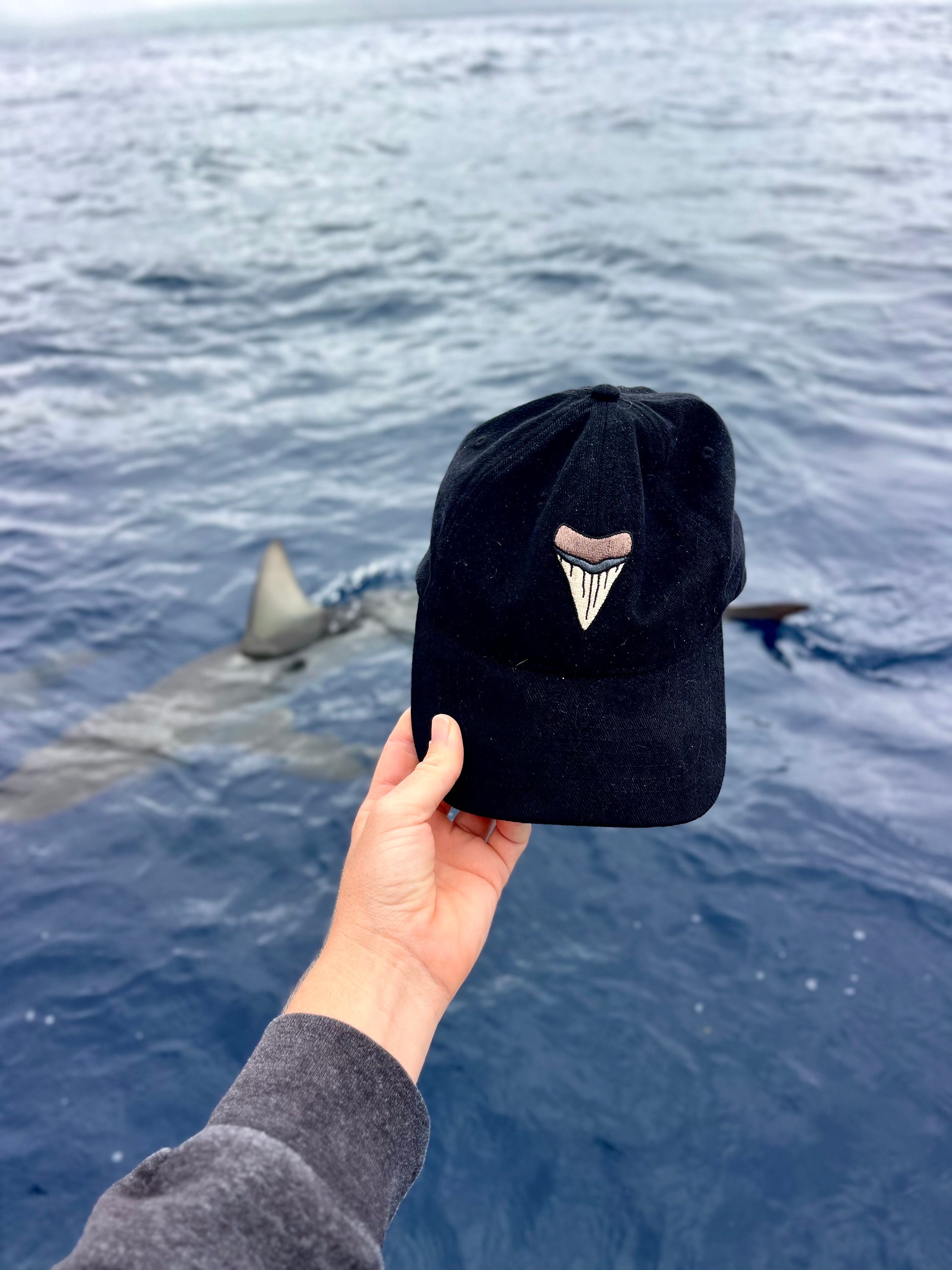 Megalodon Shark Tooth Dad Hat Black - Etsy