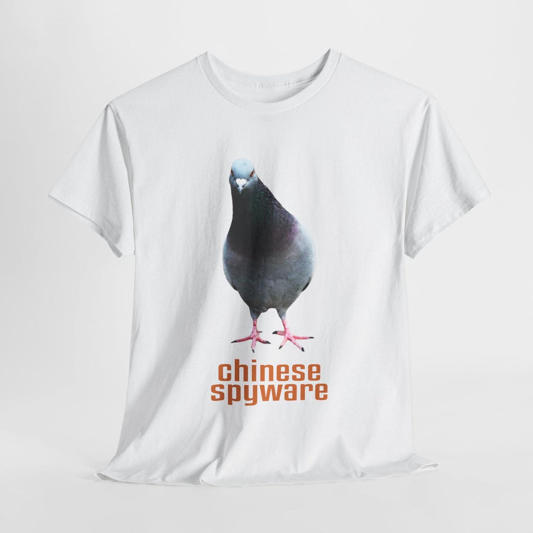 Chinese Spyware Funny Pigeon Bird Meme T-shirt, Ironic Gen Z Meme ...