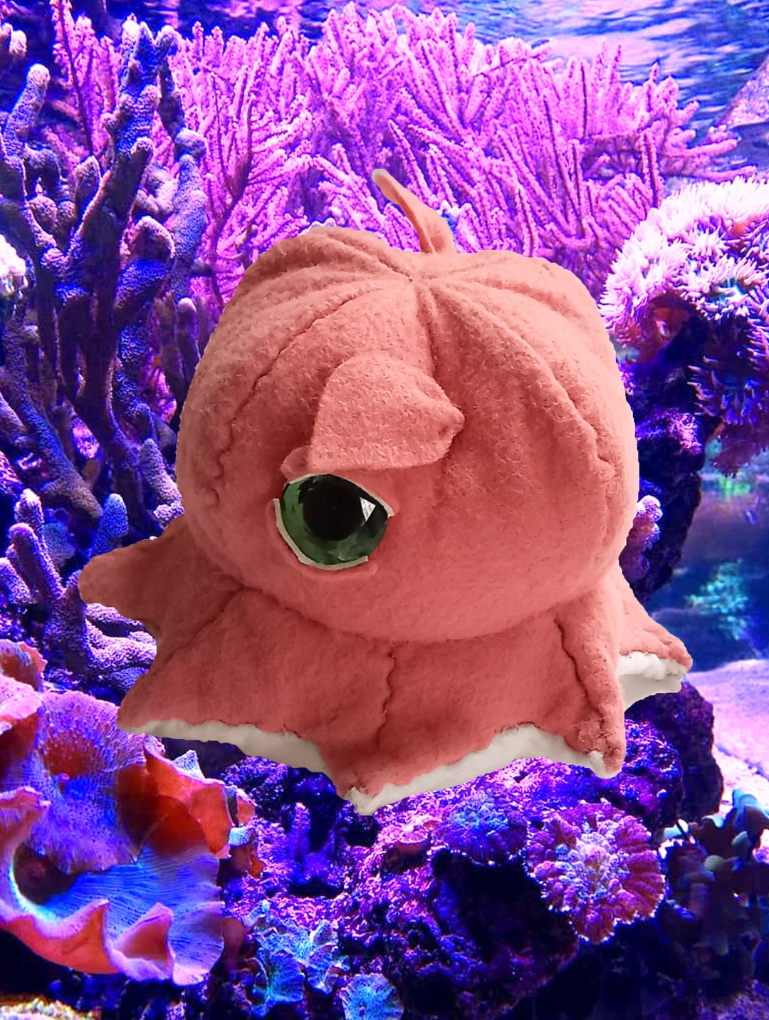 Baby Dumbo Octopus Plushie - Etsy